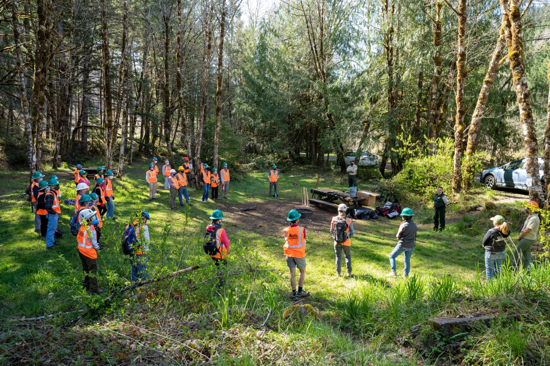 Volunteer Stewardship Experiences: Key Learnings Summary Report ... Volunteer Stewardship Experiences: Key Learnings Summary Report ...